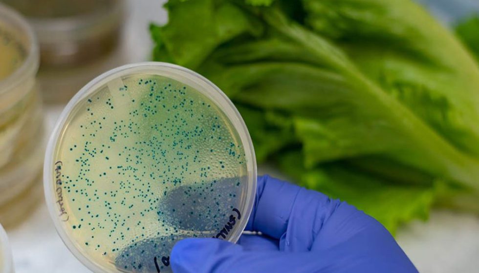 What is Contamination - Servicon