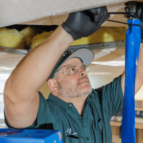 Careers - Opportunities to Grow at Servicon